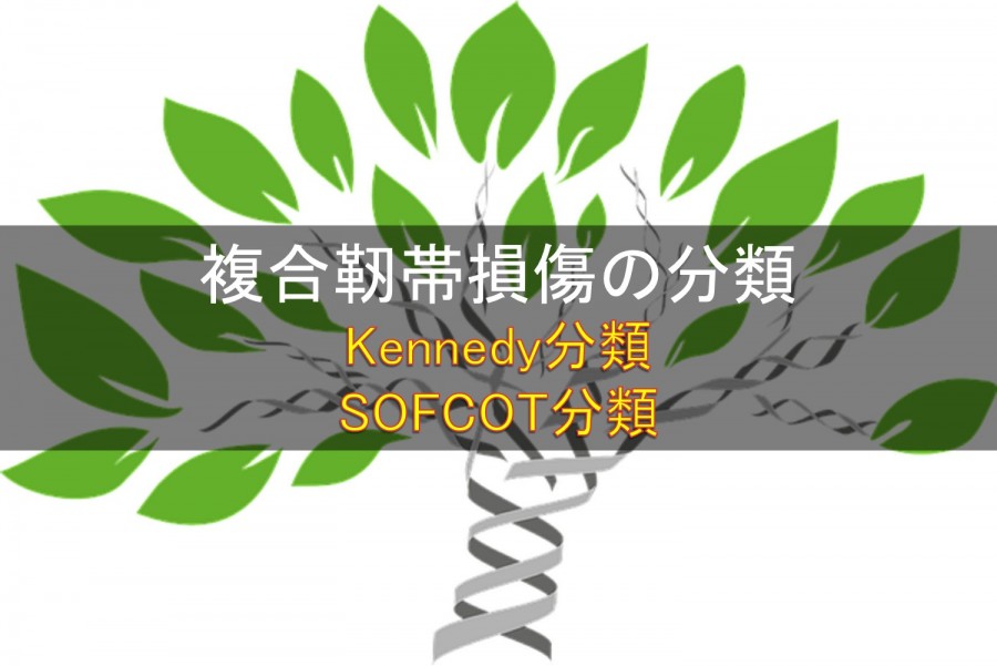 膝複合靭帯損傷のKennedy分類とSOFCOT 2008分類 目指せスポーツドクター目指せスポーツドクター
