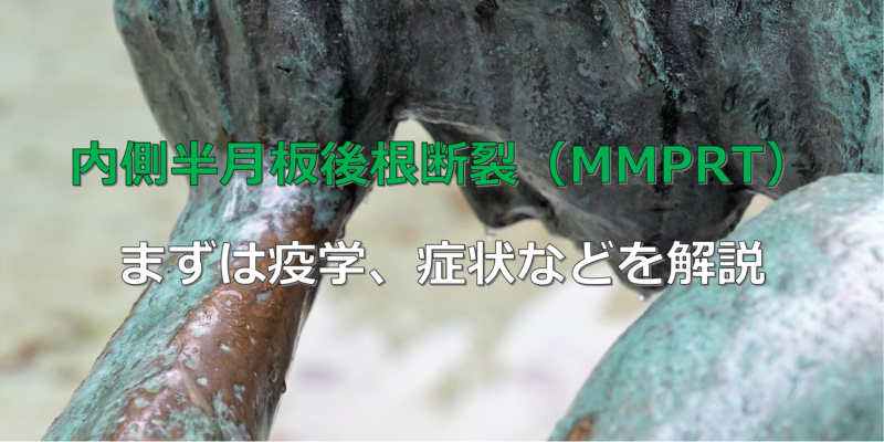 内側半月板後根断裂（MMPRT）の治療方法｜手術適応は？ 目指せスポーツドクター目指せスポーツドクター